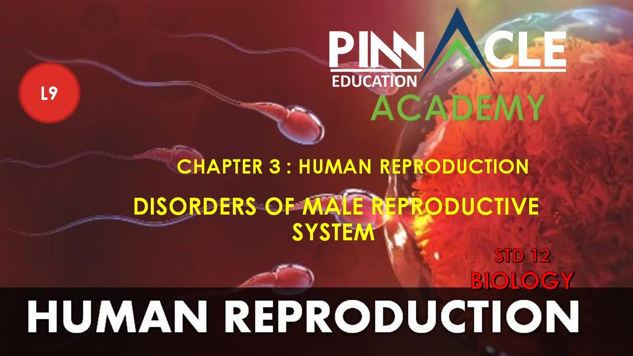 CLASS 12 ENG MED BIOLOGY | NEET | L9 | Chapter 3 : HUMAN REPRODUCTION ...