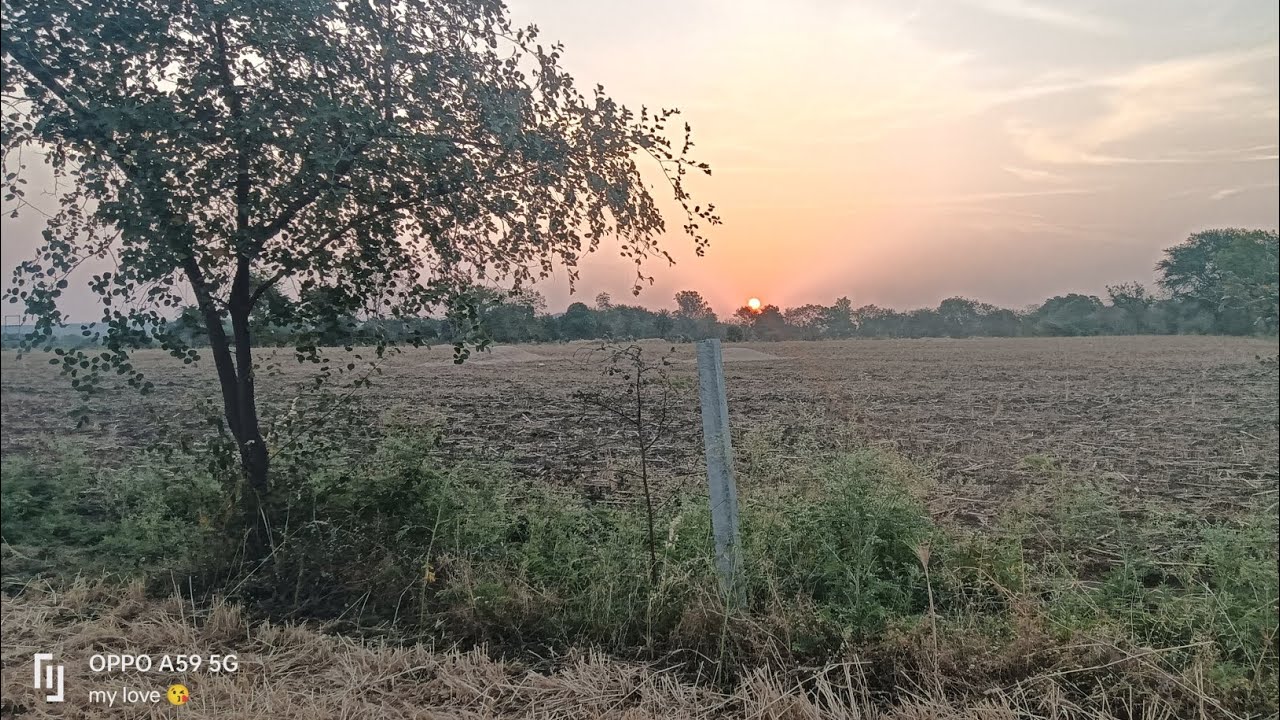 new bologe - YouTube