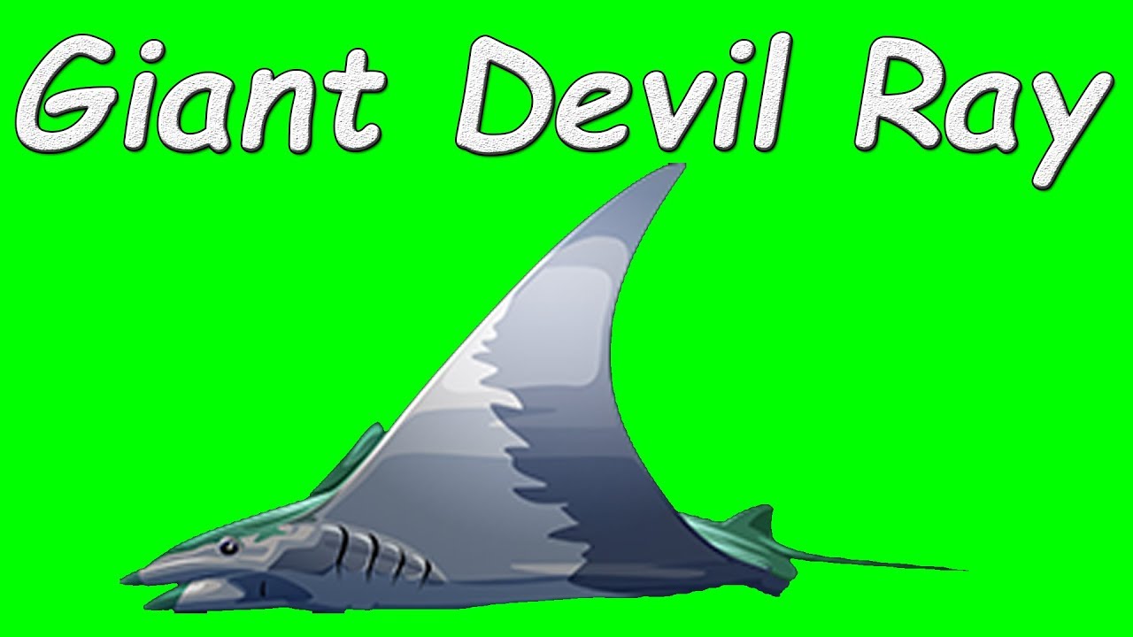 Manta velká 5★ + lvl 227 :) - YouTube