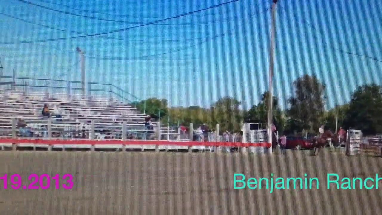 How to run at a jackpot barrel race? #shorts #shortvideo #barrelrace ...
