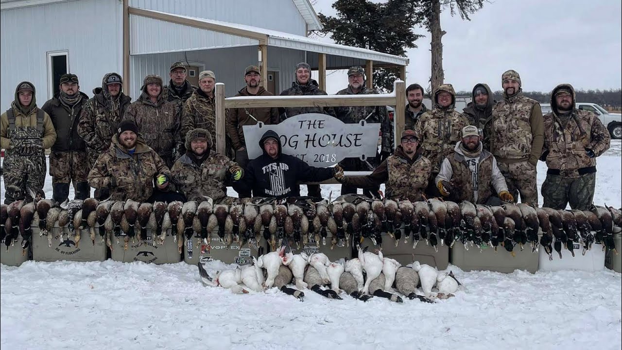 Summer Duck Plot Summary - YouTube