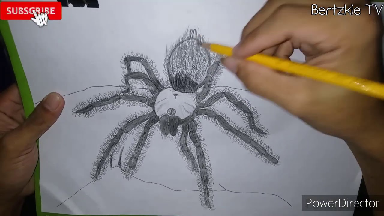 BASIC DRAWING ( 3D SPIDER) USING PENCIL ONLY - YouTube