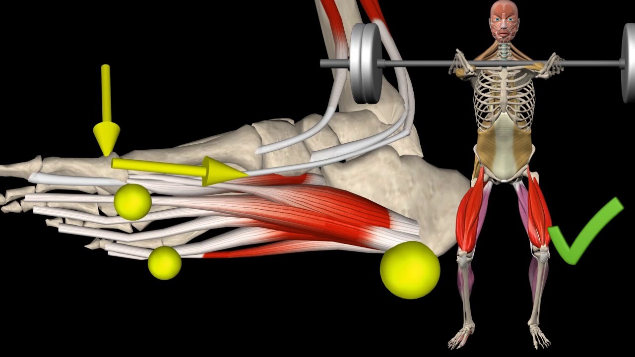 Tripod position - YouTube