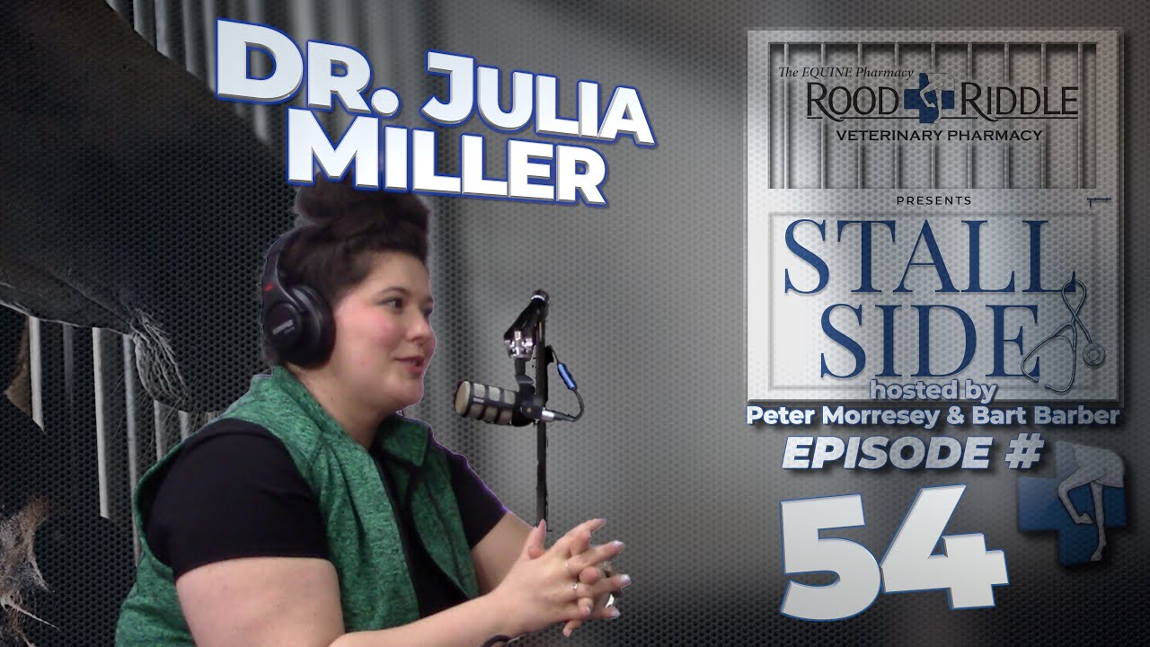 Scratches and Hives Oh My! with Dr Julia Miller - YouTube