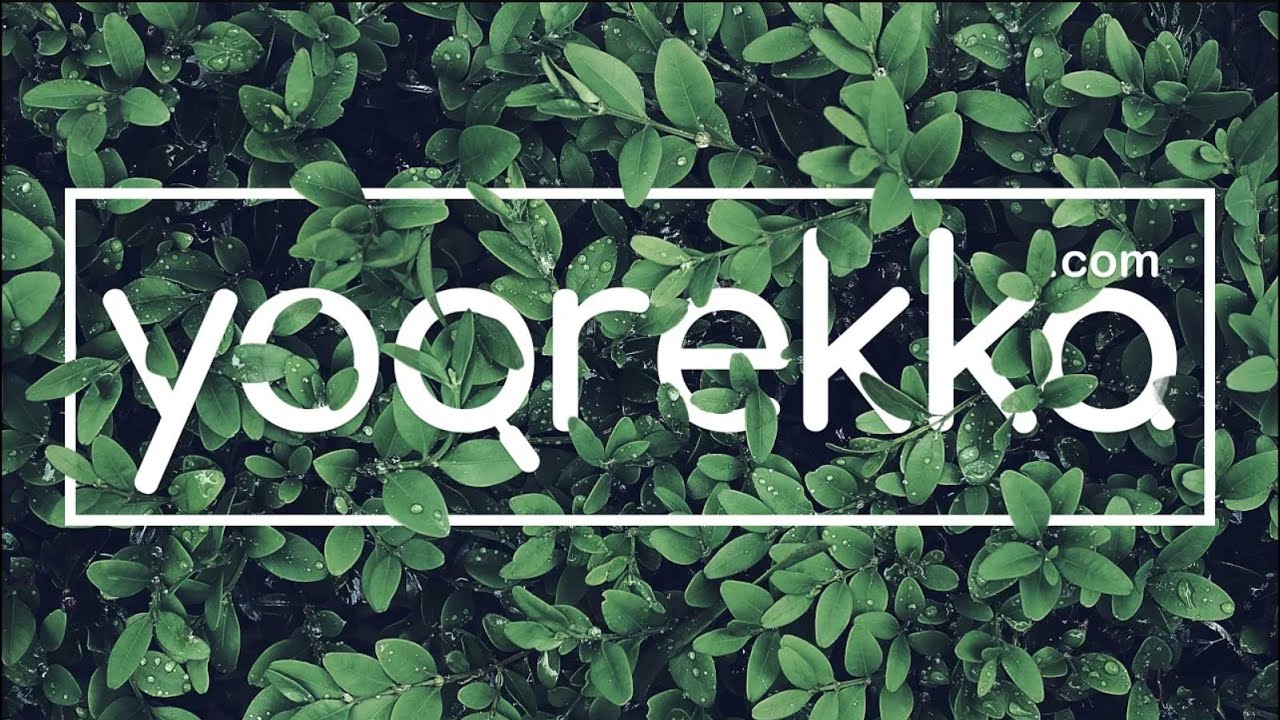 Be Featured at Yoorekka.com and Grow Our Customers Traffic! - YouTube