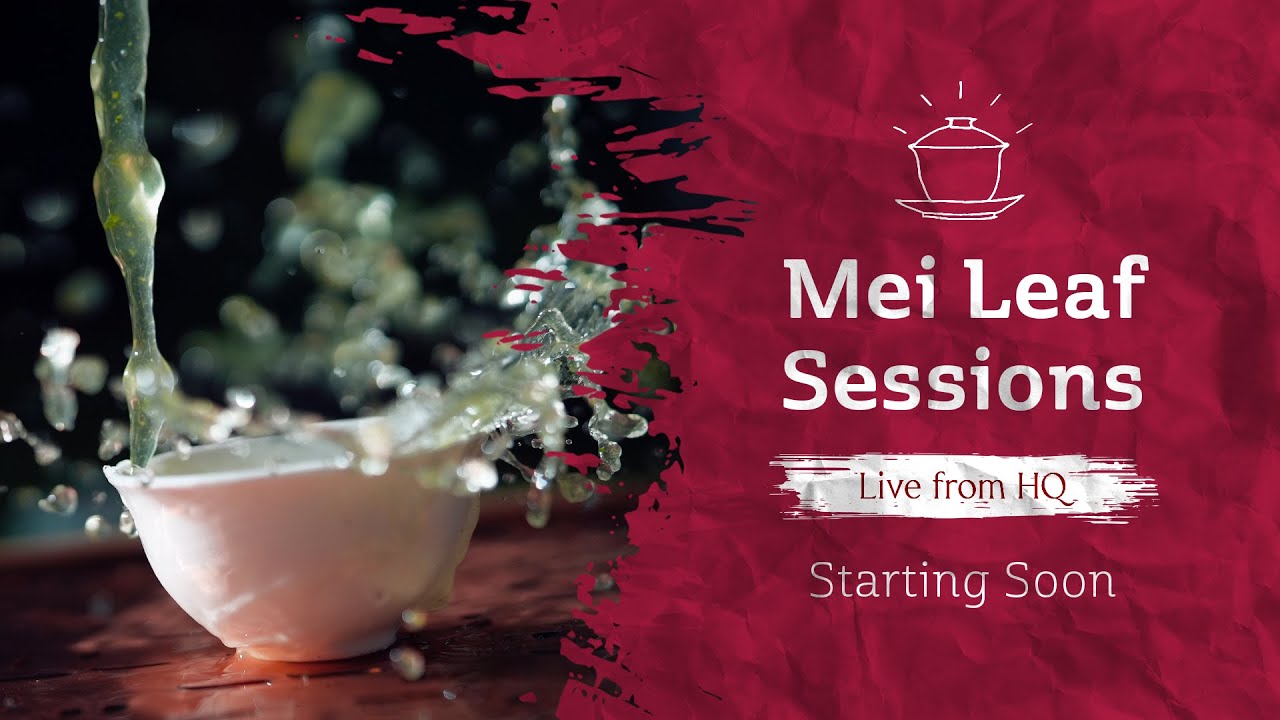 Mei Leaf Sessions - LIVE GLOBAL TEA GATHERING - YouTube