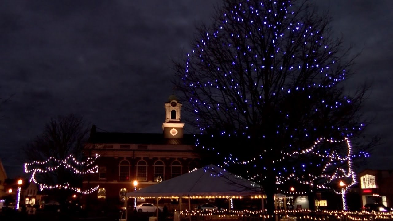 Blue Tree Lighting 2020 - YouTube