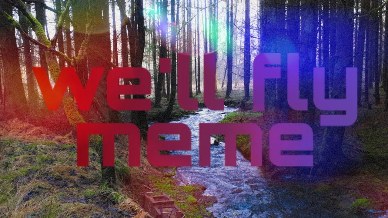 We'll fly meme - YouTube