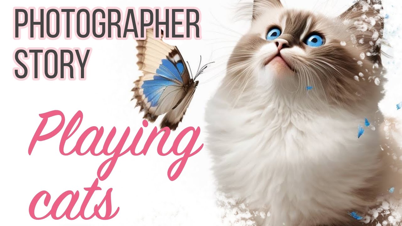 Playing Cats: The Ultimate Feline Gaming Experience - YouTube