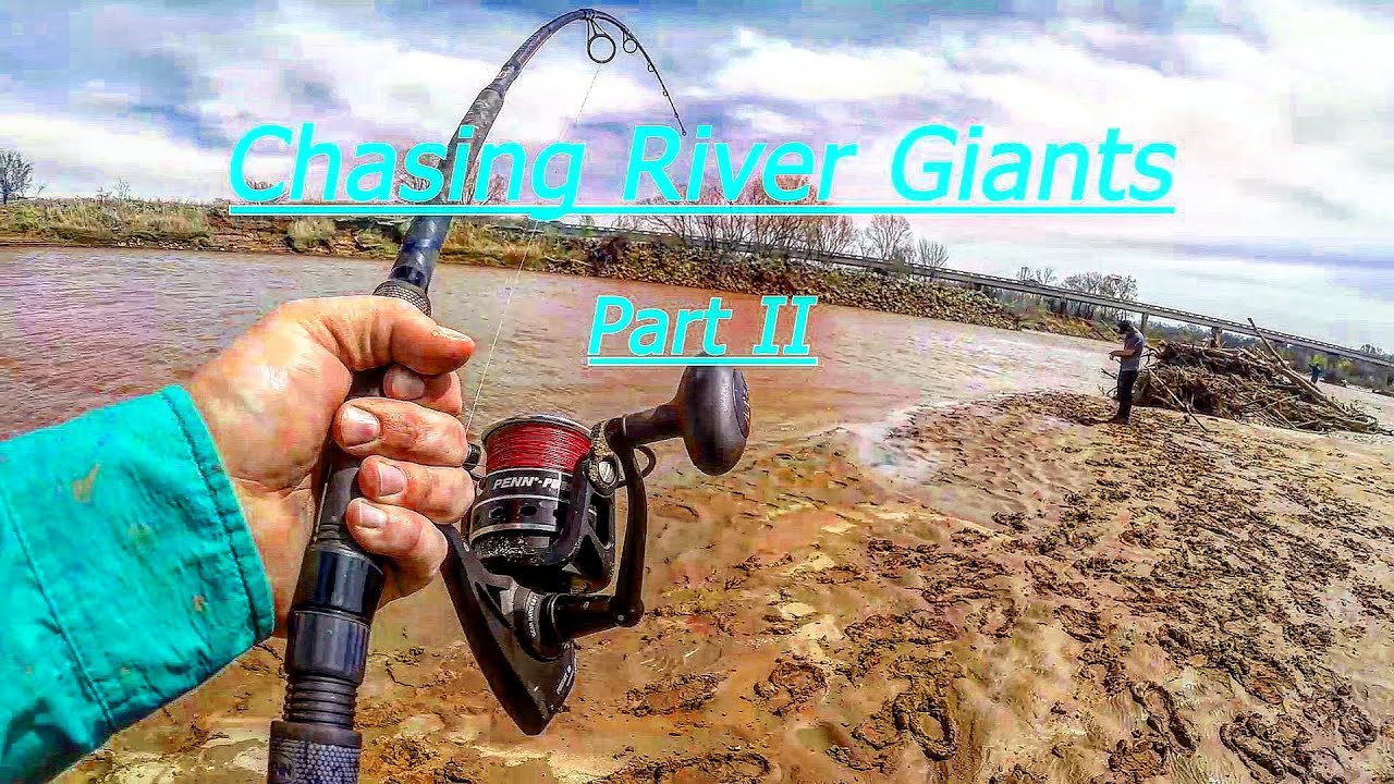 Chasing River GIANTS - The Paddlefish Are Running And The Drag is ...