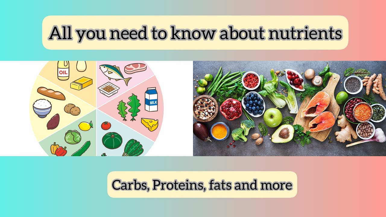 Types of nutrients and their functions|| Different classes of nutrients ...