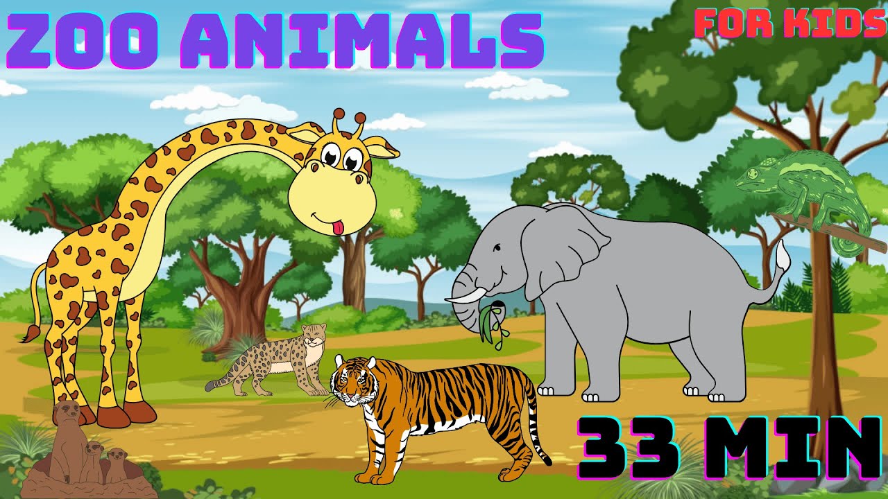 Animals in the zoo | Learning About Zoo Animals | 33 Min | KIDS WITH ...