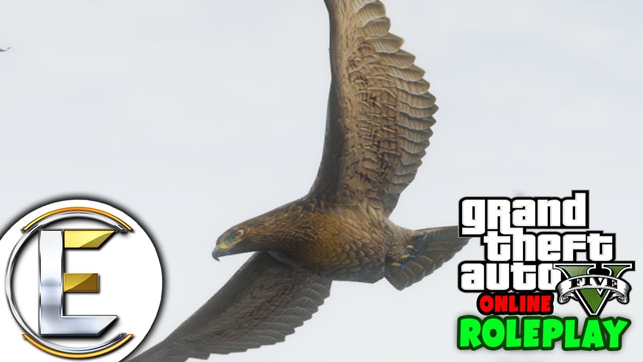 Like A Bird | GTA RP - Grand Theft Auto 5 Roleplay (Funny Moments ...