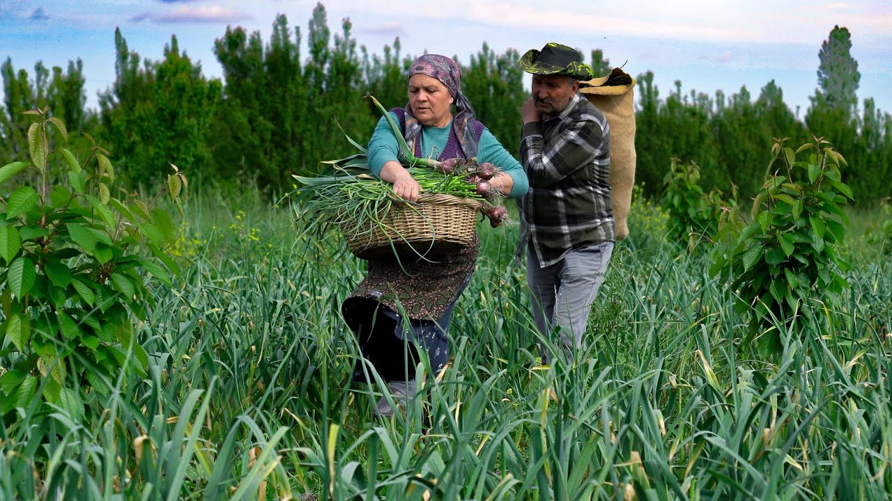 Winter's Essential: How to Make Delicious Pickled Garlic Arrows - YouTube