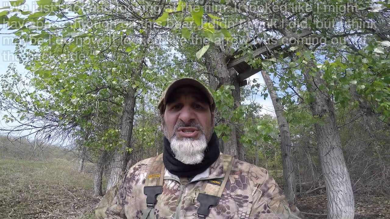 Matt Guedes Bear Hunt '15 - YouTube