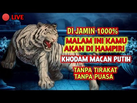 musik relaksasi || lakukan malam ini dan kamu akan memiliki khodam macan putih