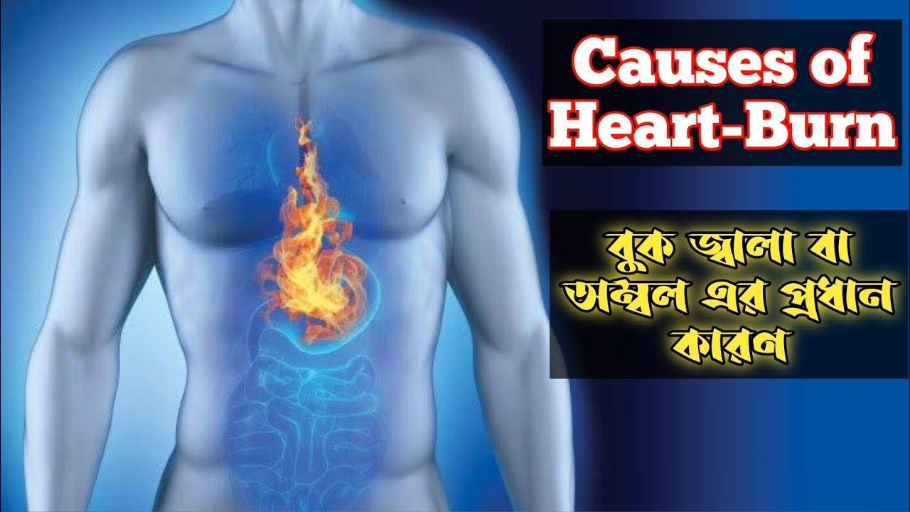বুক জ্বালা বা অম্বল এর প্রধান কারণ | human body facts life science ...