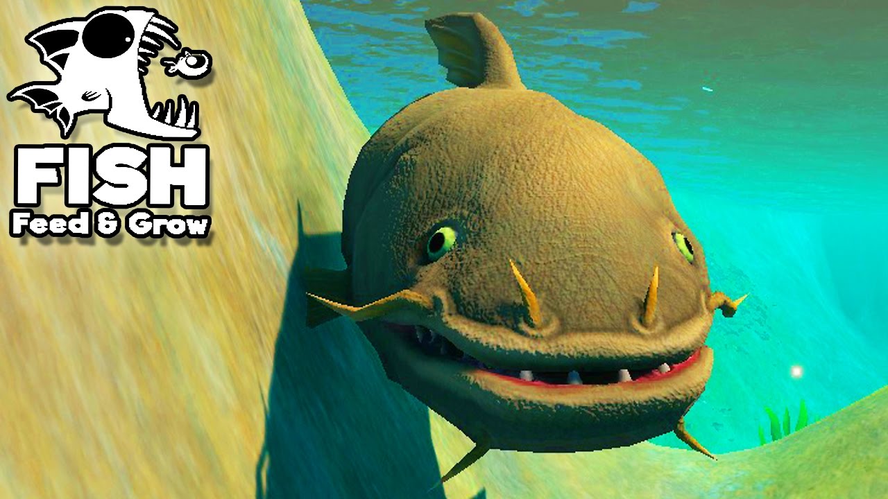 Feed and Grow: Fish (Gameplay/PT-BR) - Ataque De Peixe Gato "CatFish ...