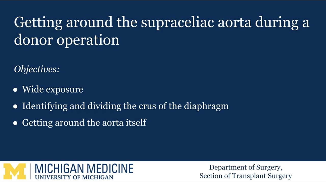 Supraceliac Control Procurement Operation - YouTube