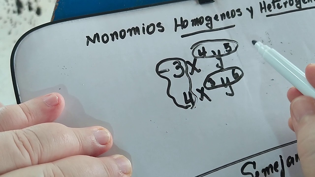 Monomios homogéneos, heterogéneos y semejantes - YouTube