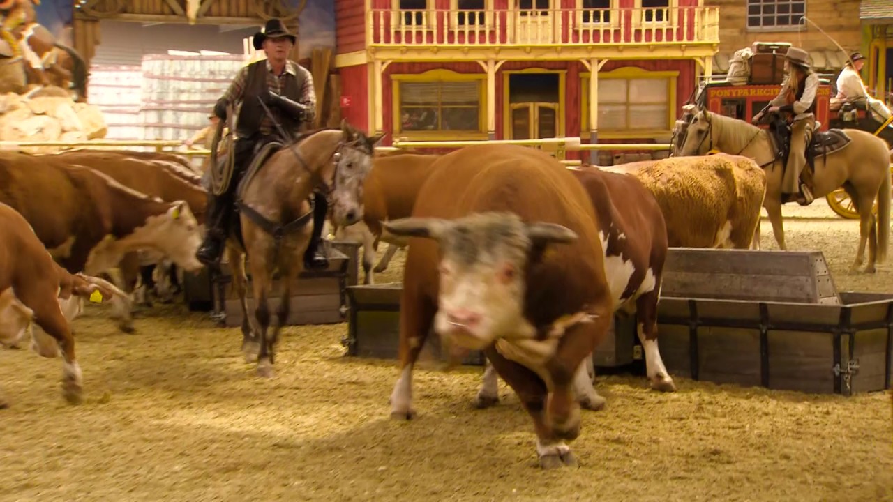 PonyparkCity 2017 - YouTube