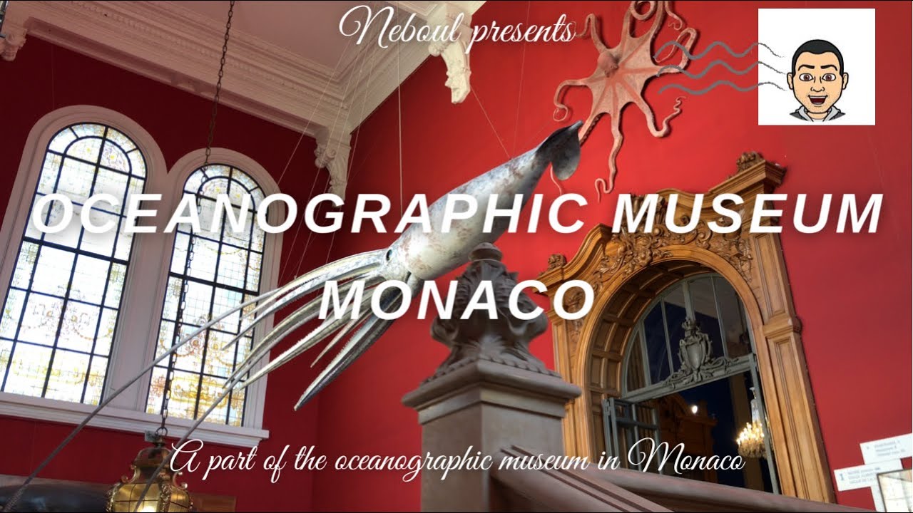 Live: Inside the oceanographic museum in Monaco - YouTube