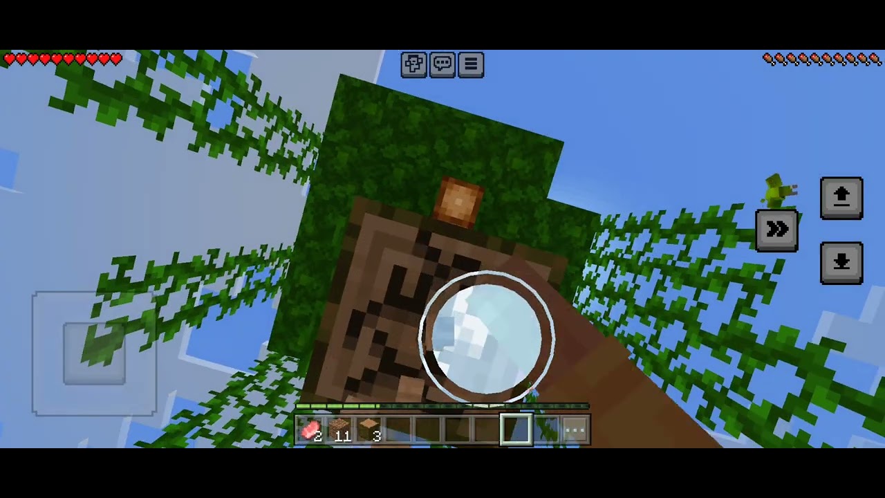 Playing MINECRAFT (FACE REVEAL 10 MILLION SUBSCRIBERS!) - YouTube