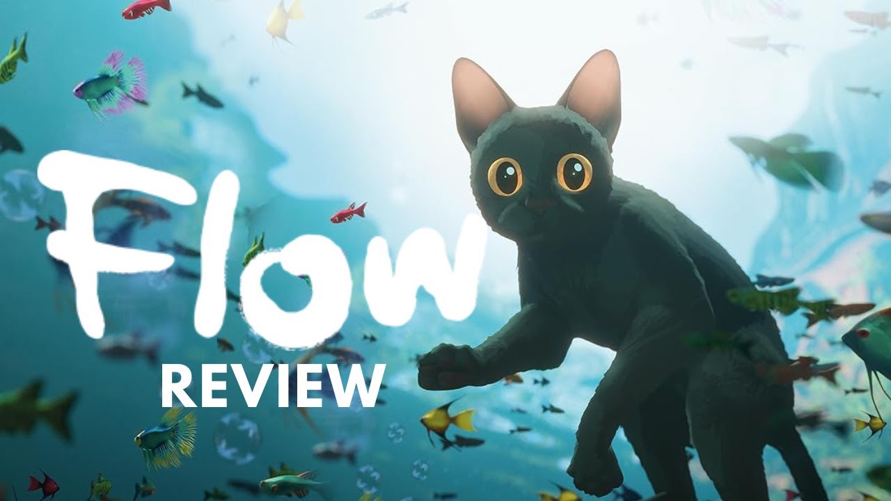 Flow Review - YouTube