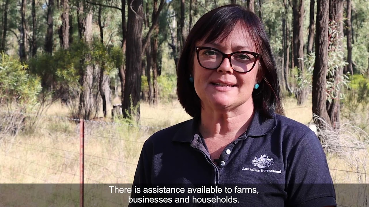 Catch up with Recovery Support Officer Tammy Greer - YouTube