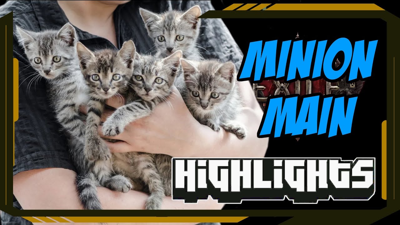 Minion main - Path of Exile Highlights #671 - Ruetoo, Steelmage ...