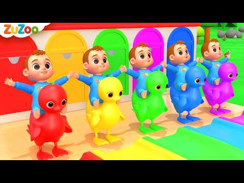 5 Little Ducks(Learning Colors Song) | ZuZoo Nursery Rhymes & Kids Songs