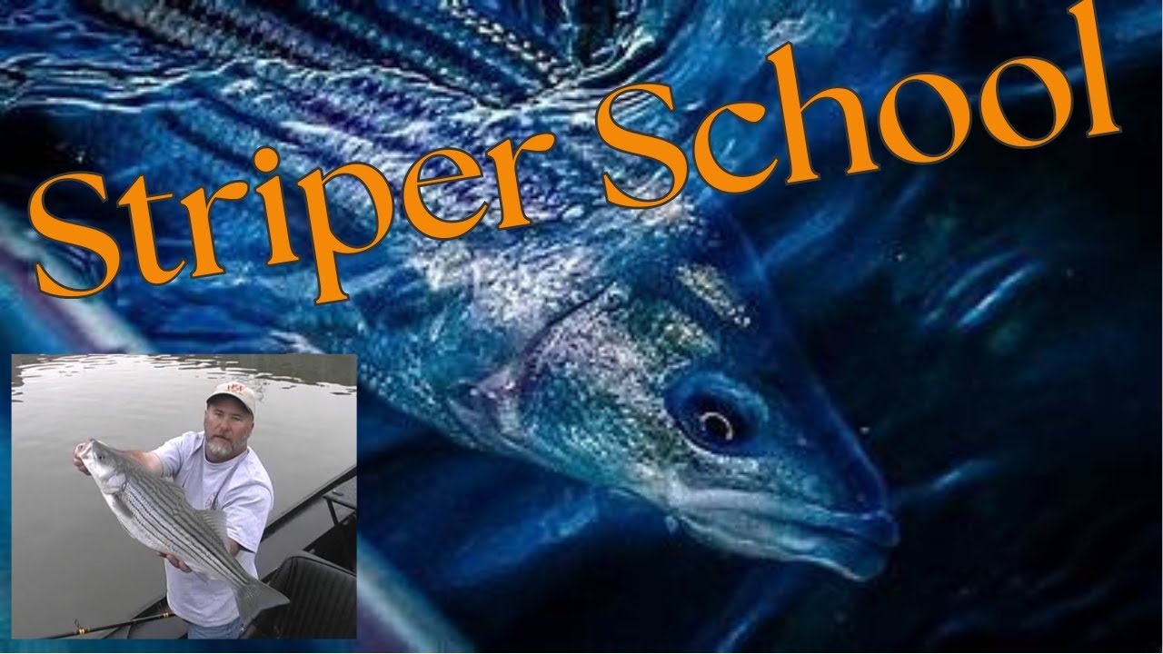Striper School - YouTube