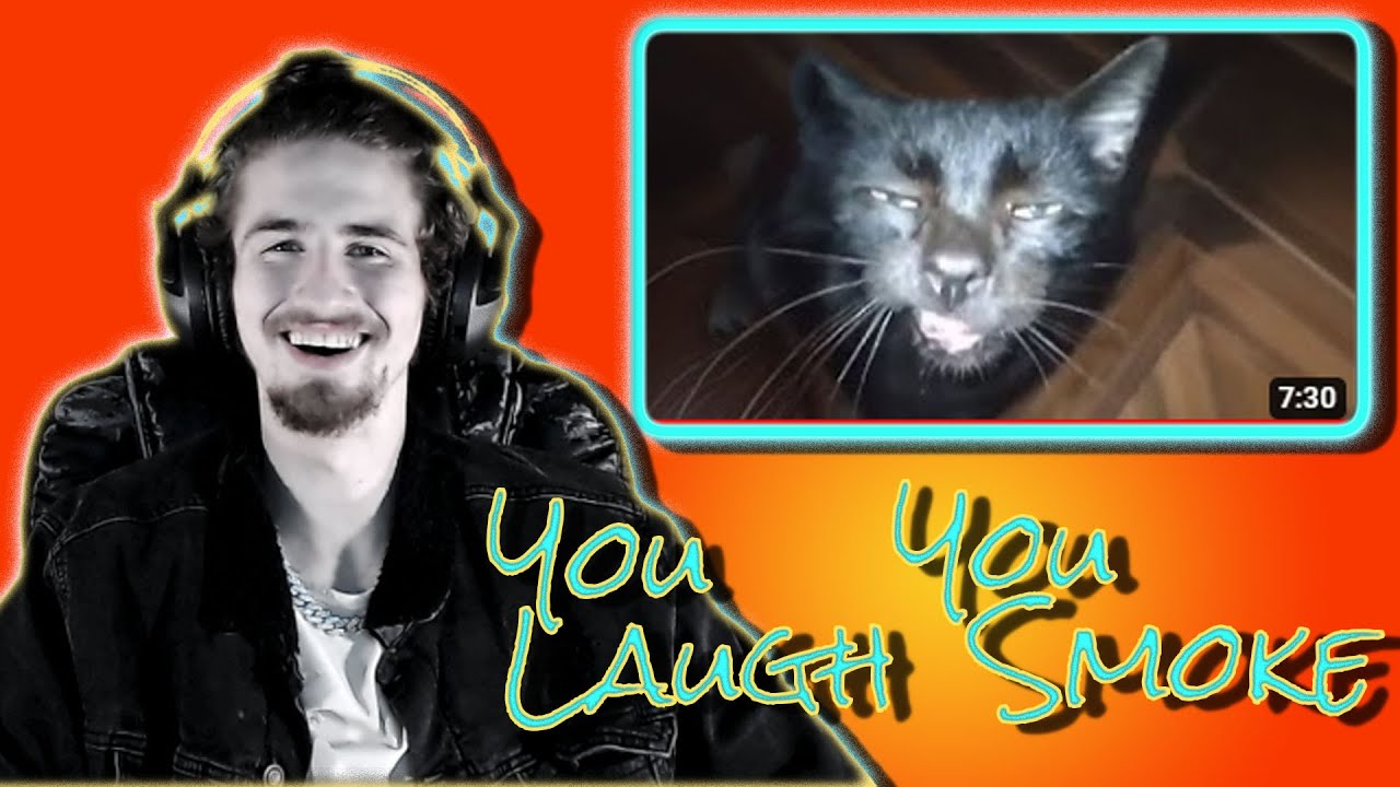 You laugh you smoke | Memes | Ep. 3. - YouTube