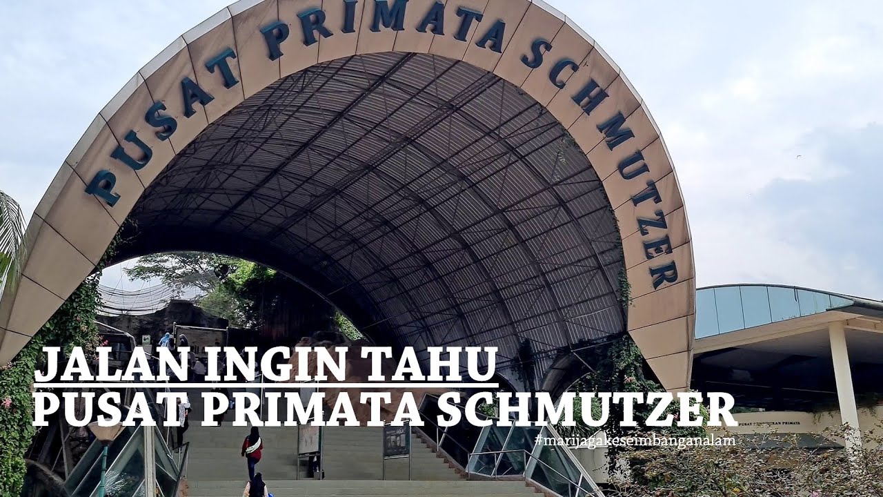 🐒 Walking Arond The Schmutzer Primate Center ~ Pusat Primata Schmutzer ...
