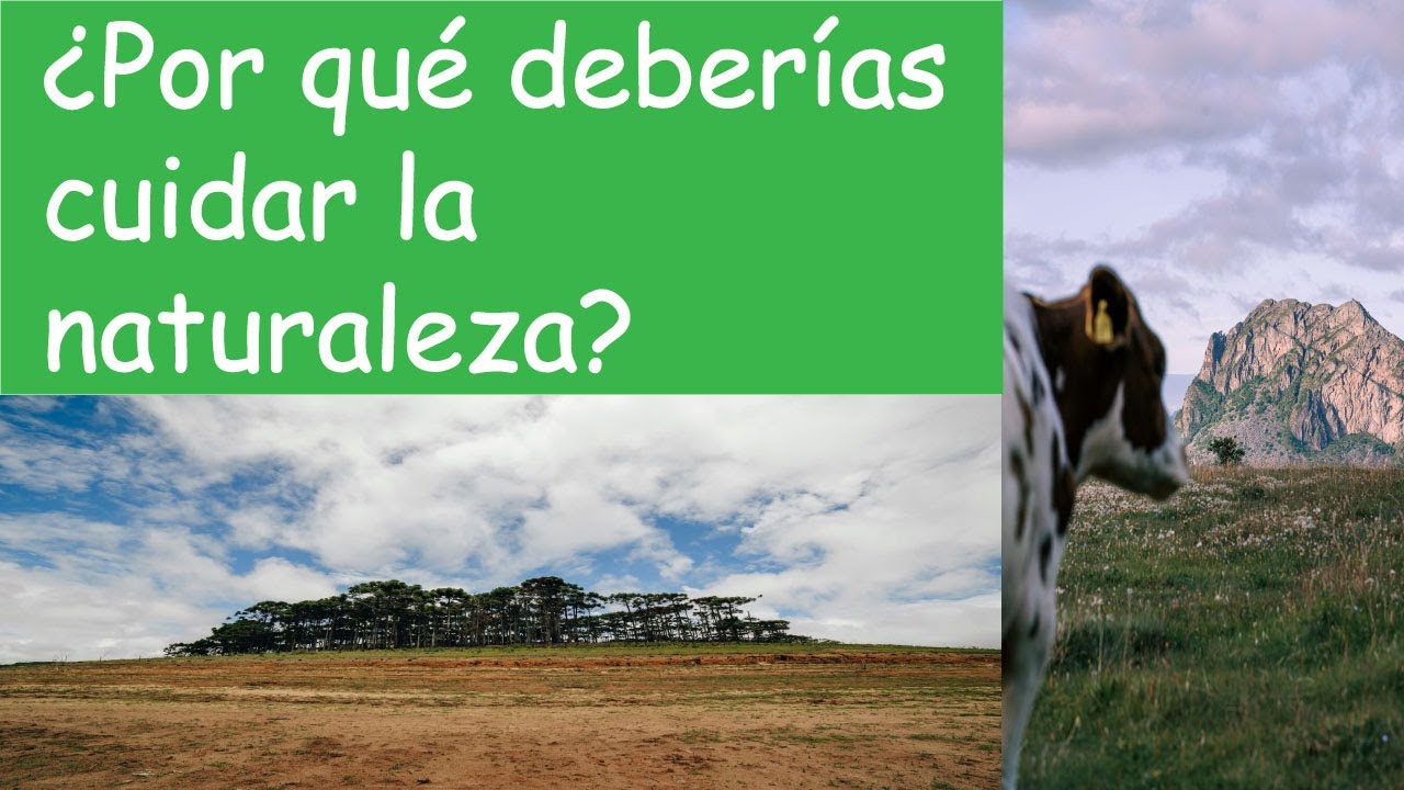 Por qué deberías cuidar la naturaleza | Vida dentro de la Tierra - YouTube