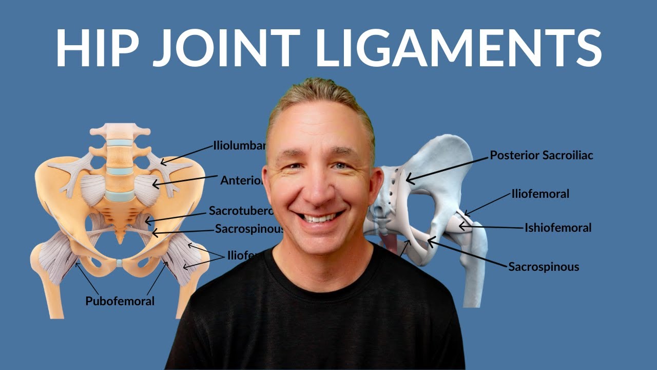 Understanding Hip Joint Ligaments - YouTube