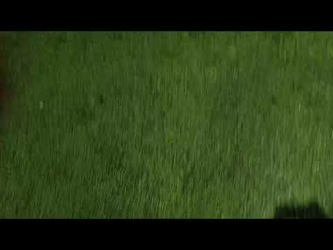 Altın Vuruş vs DOĞU ATEŞİ