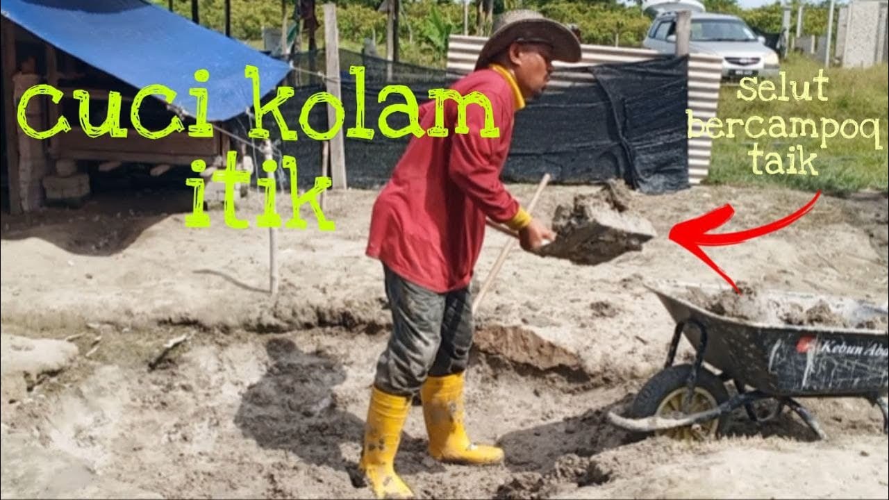 [Episod351] kolam itik dah kering, tanah pula bercampur taik. masa ni ...