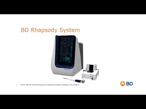 BD - Rhapsody - YouTube
