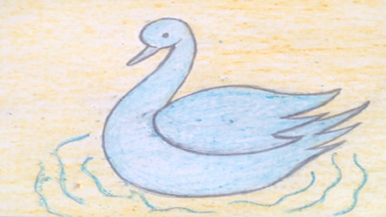 How to draw and color a Duck- Super easy - YouTube