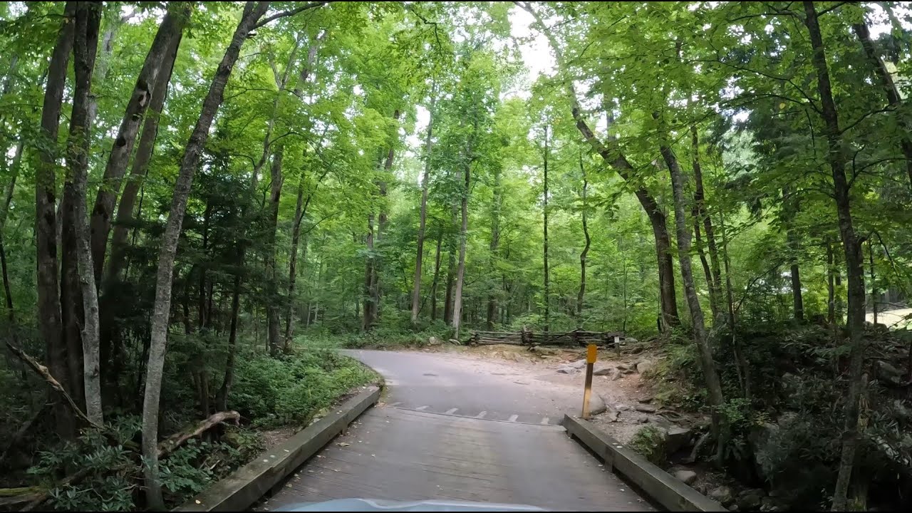 The Most Peaceful Car Ride I've Had so Far - Great Smoky Mountains ...