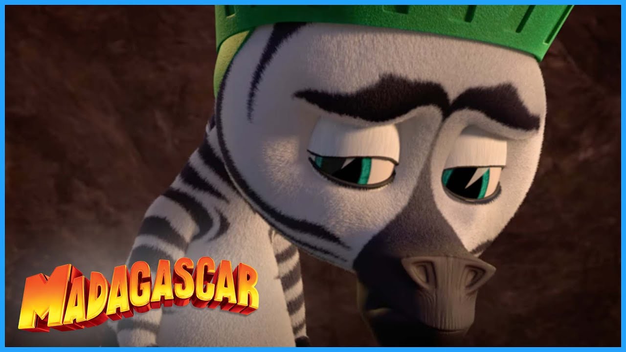 Marty lost the teddy bear | Madagascar: A Little Wild - YouTube