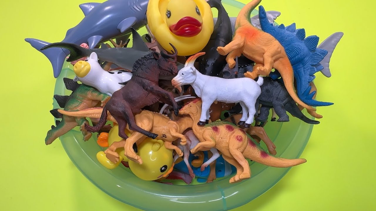 Satisfying Play With Fill Toy Animals in The Bucket I Happy Video - YouTube