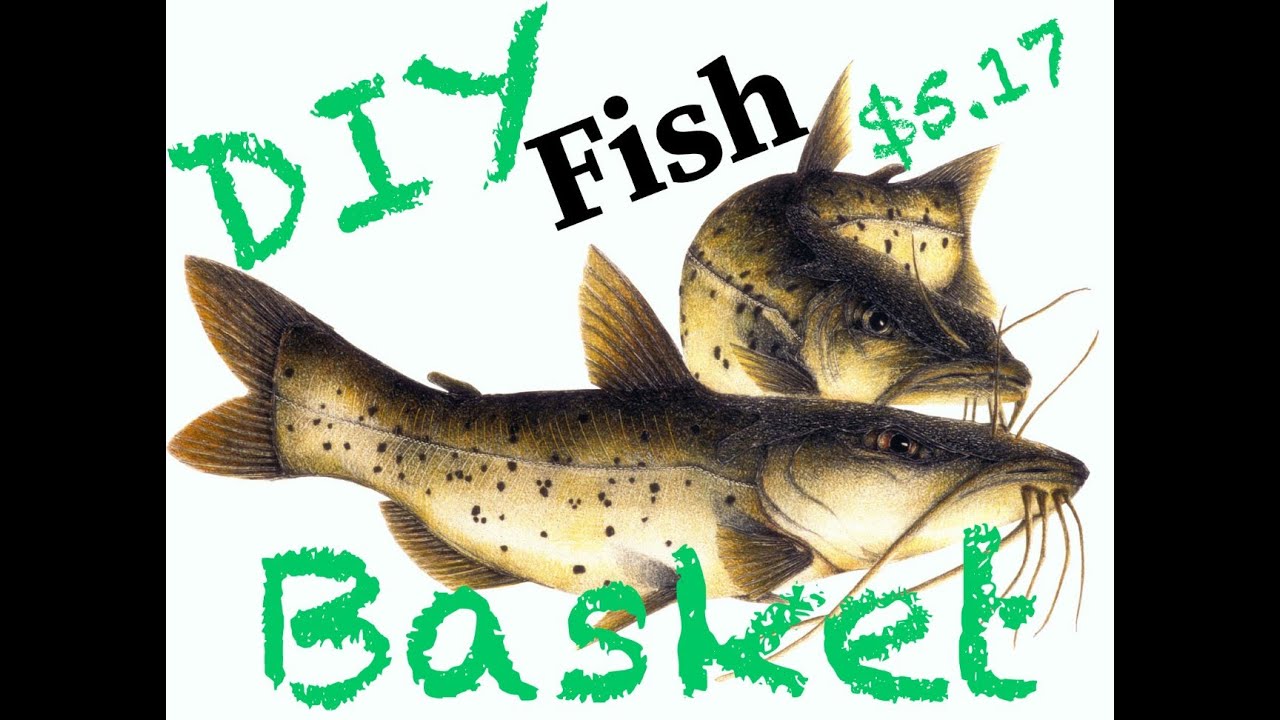 DIY Fish Basket for under $6 - YouTube
