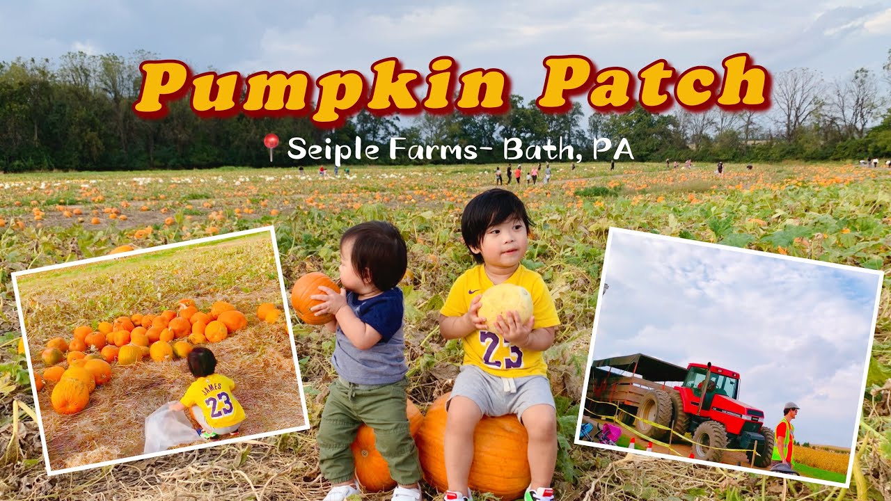 Fall Activity with Toddlers | Pumpkin Patch at Seiple Farms - YouTube