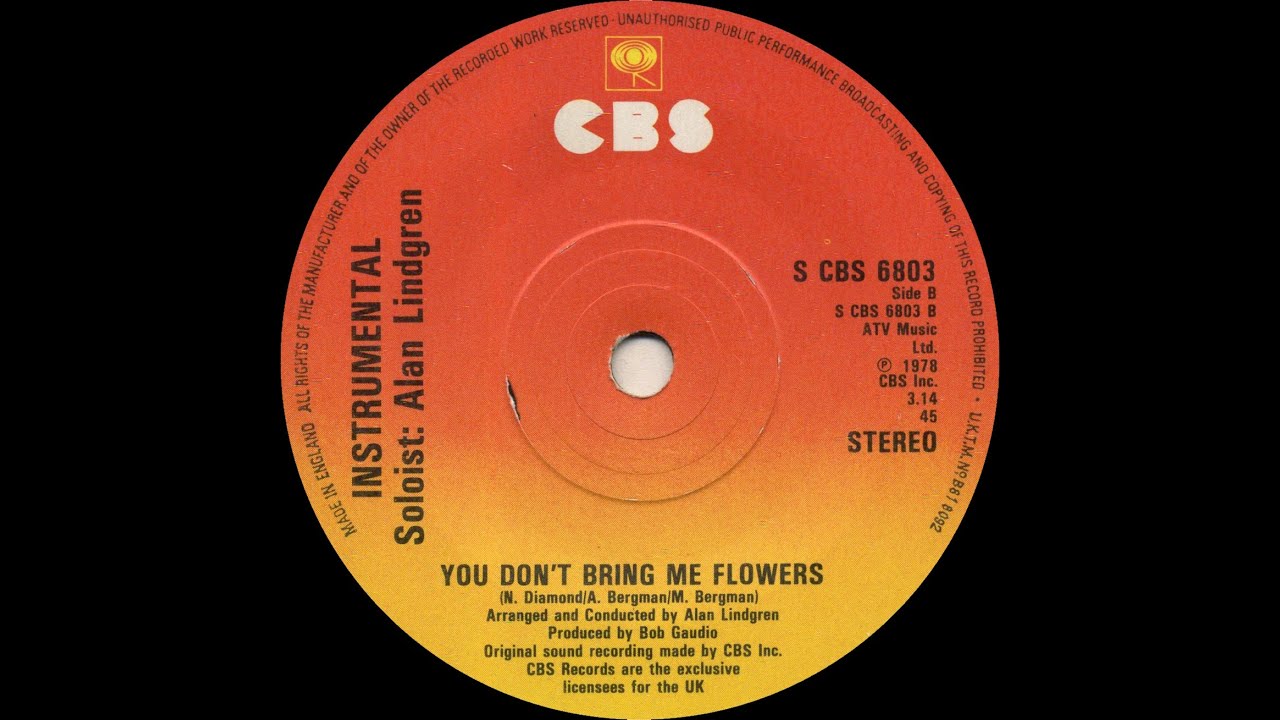 Alan Lindgren - You Don't Bring Me Flowers (Instrumental) - YouTube