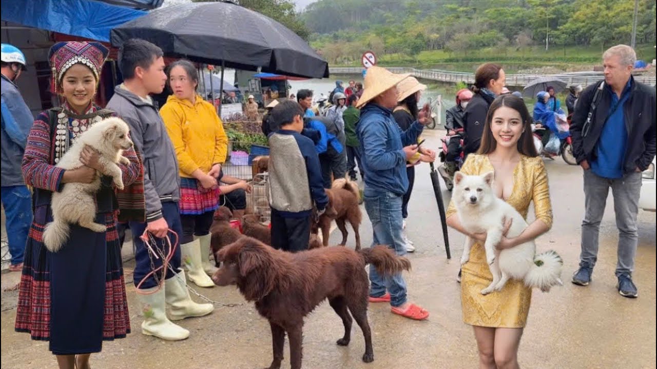 Explore the Unique Dog Market in Northwest Vietnam - YouTube