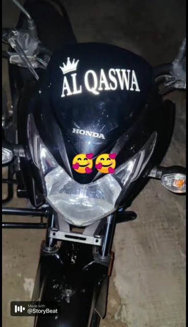 Al Qaswa🥰🥰 - YouTube
