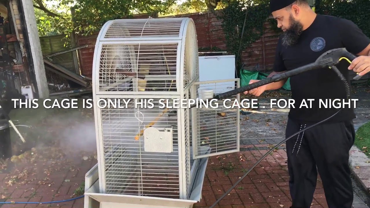 HOW TO CLEAN YOUR CAGE.#Chicothemonkey - YouTube