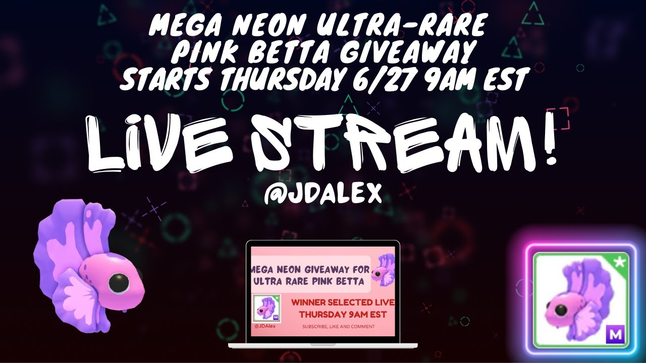 Live Selected Mega Neon Pink Betta Fish Giveaway winner and gave it ...